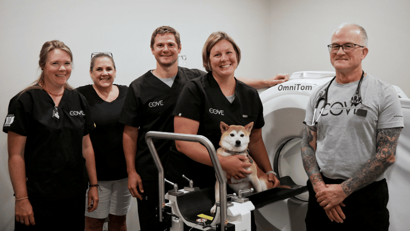 Home - COVE: Center of Veterinary Excellence